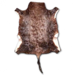 Greater kudu Skin Rug
