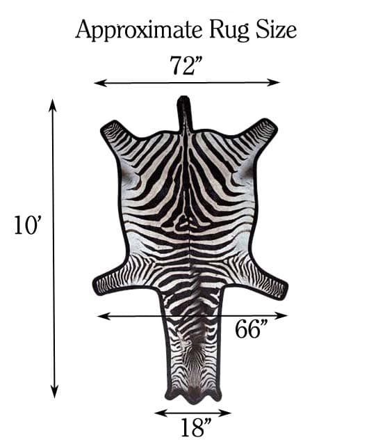 Zebra Skin Rugs - Wildlife Etc LLC