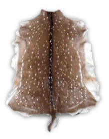 Axis Deer Skin - Wildlife Etc LLC