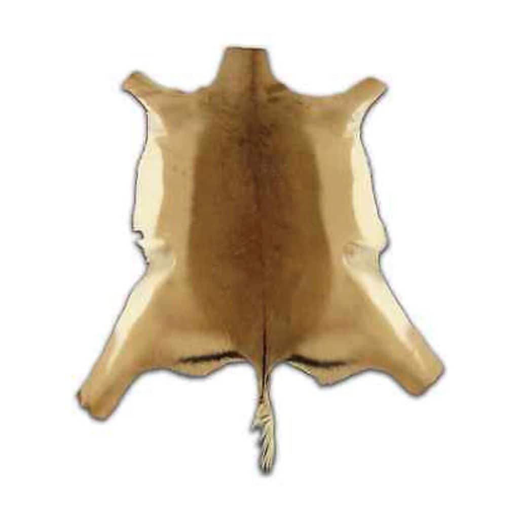 Axis Deer Skin - Wildlife Etc LLC