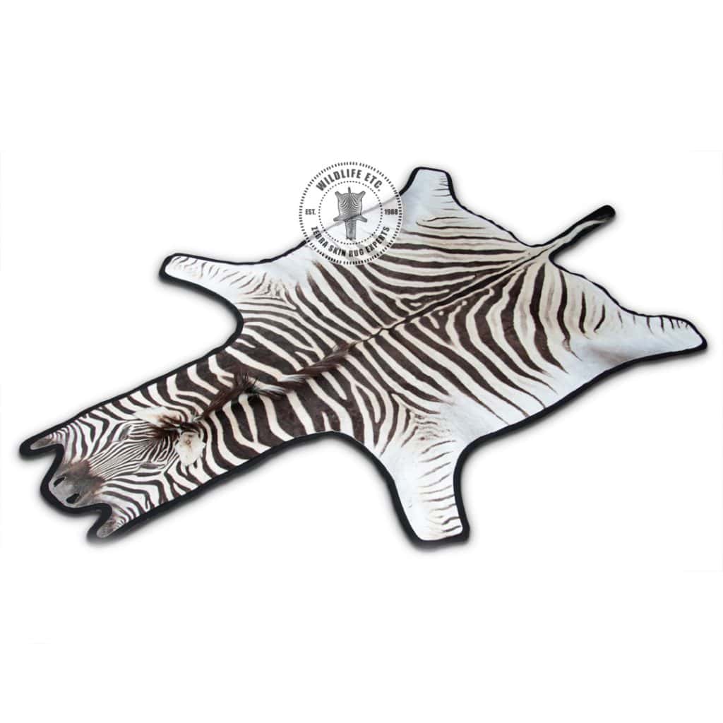 Zebra Skin Rugs - Wildlife Etc LLC